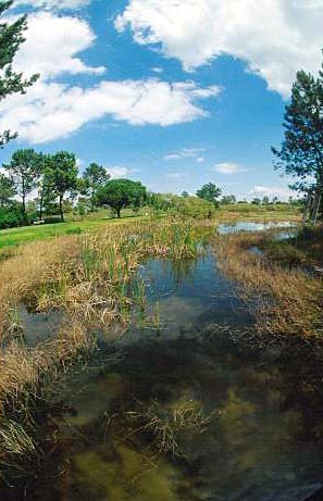 GOLFplusONLINE - Portugal: Trojanische Spiele